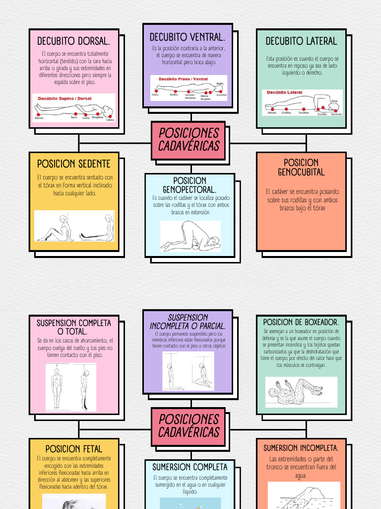 POSICIONES Y PLANOS | PDF