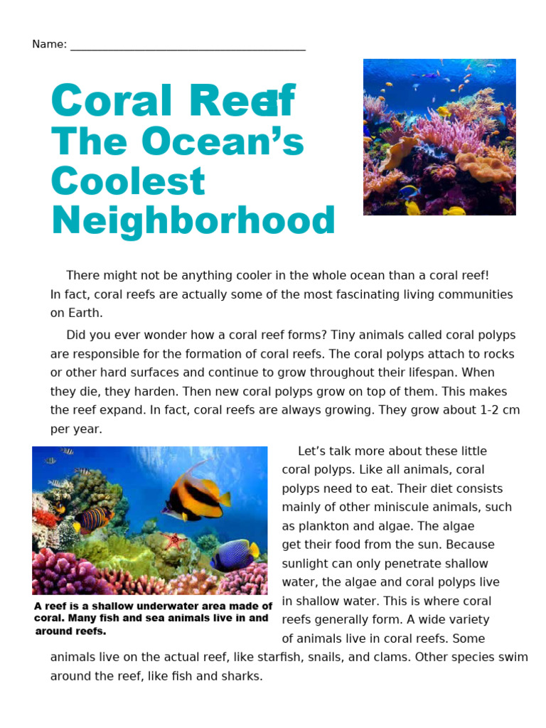 4th Coral Reefs | PDF
