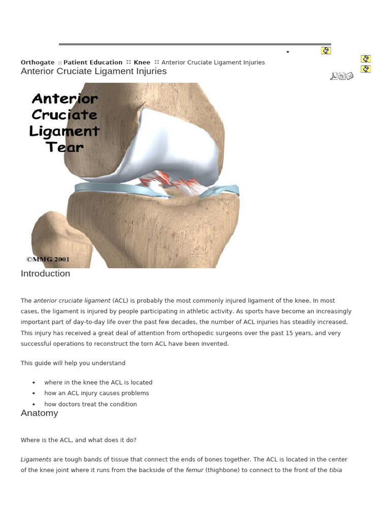 Acl .Injury | PDF