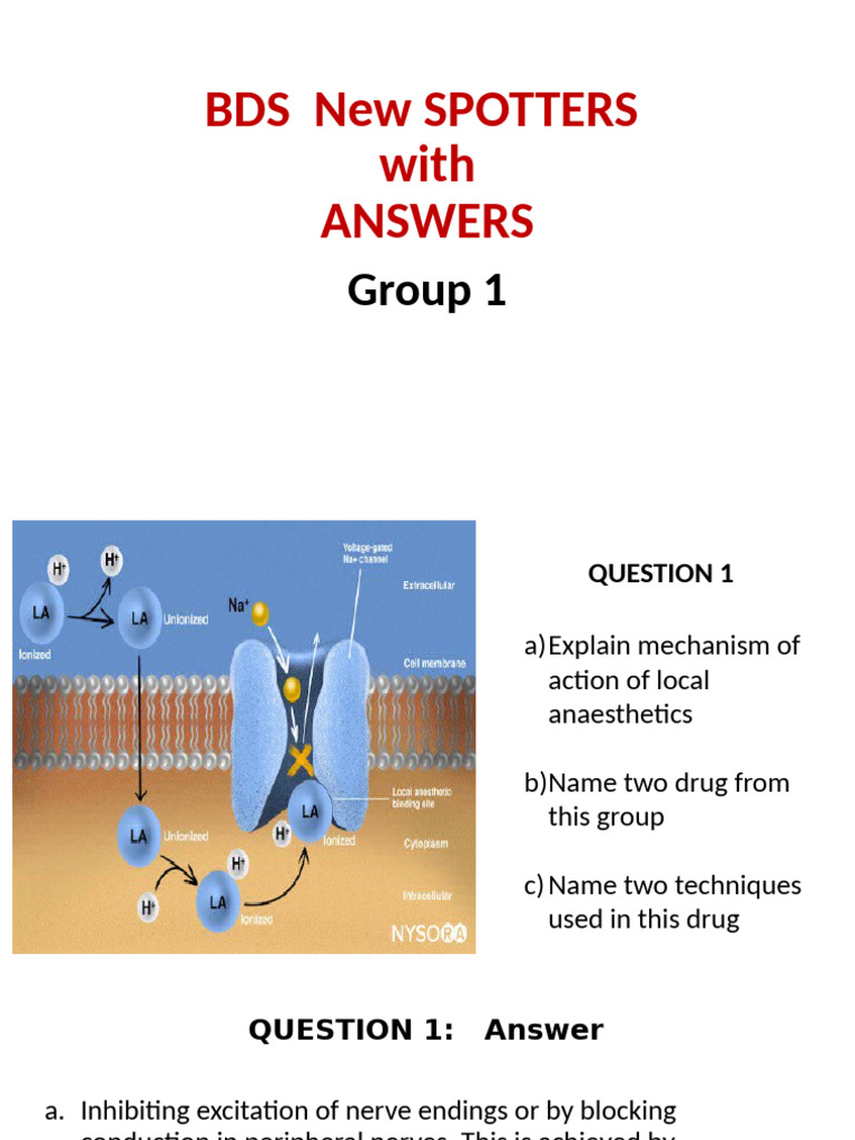 BDS New Spotters - Group 1 To IV | PDF