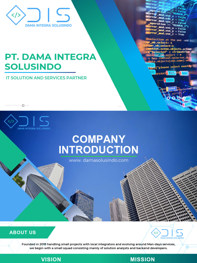 DIS - Company Profile 2024 | PDF | Application Software | Customer ...