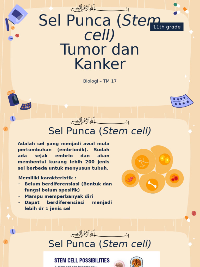 Sel Punca | PDF