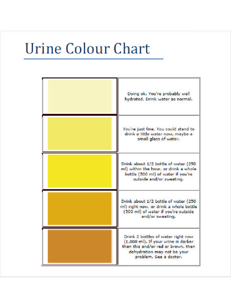 Urine Color Chart | PDF