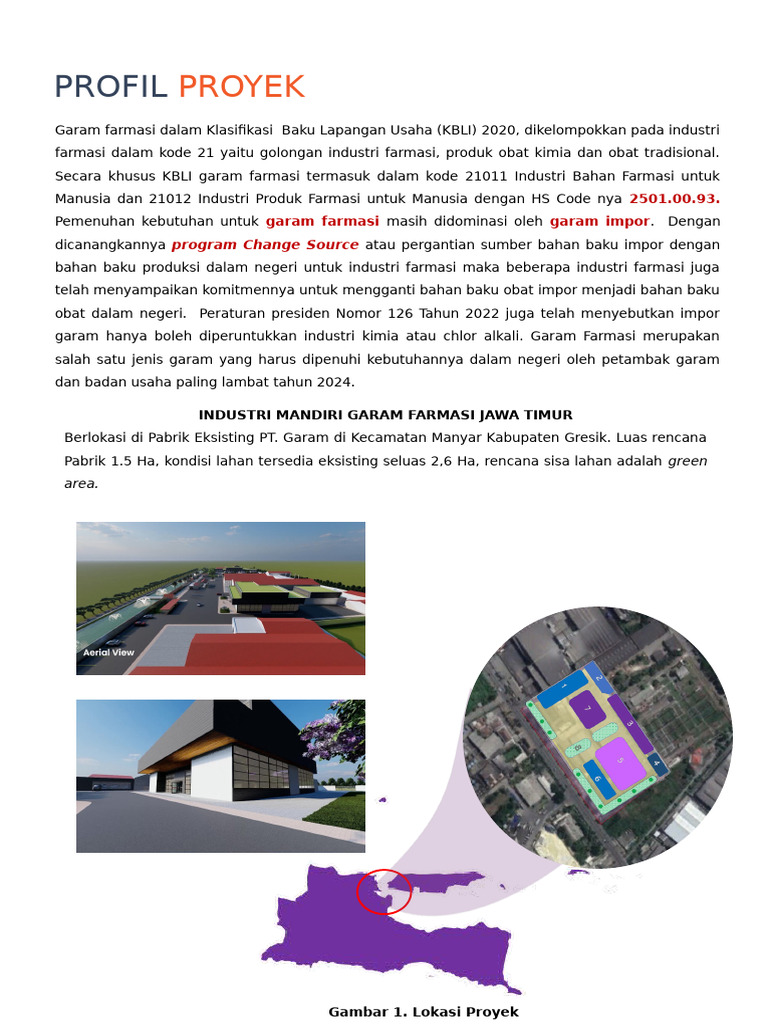 FS Garam Farmasi | PDF | Financial Accounting | Investing