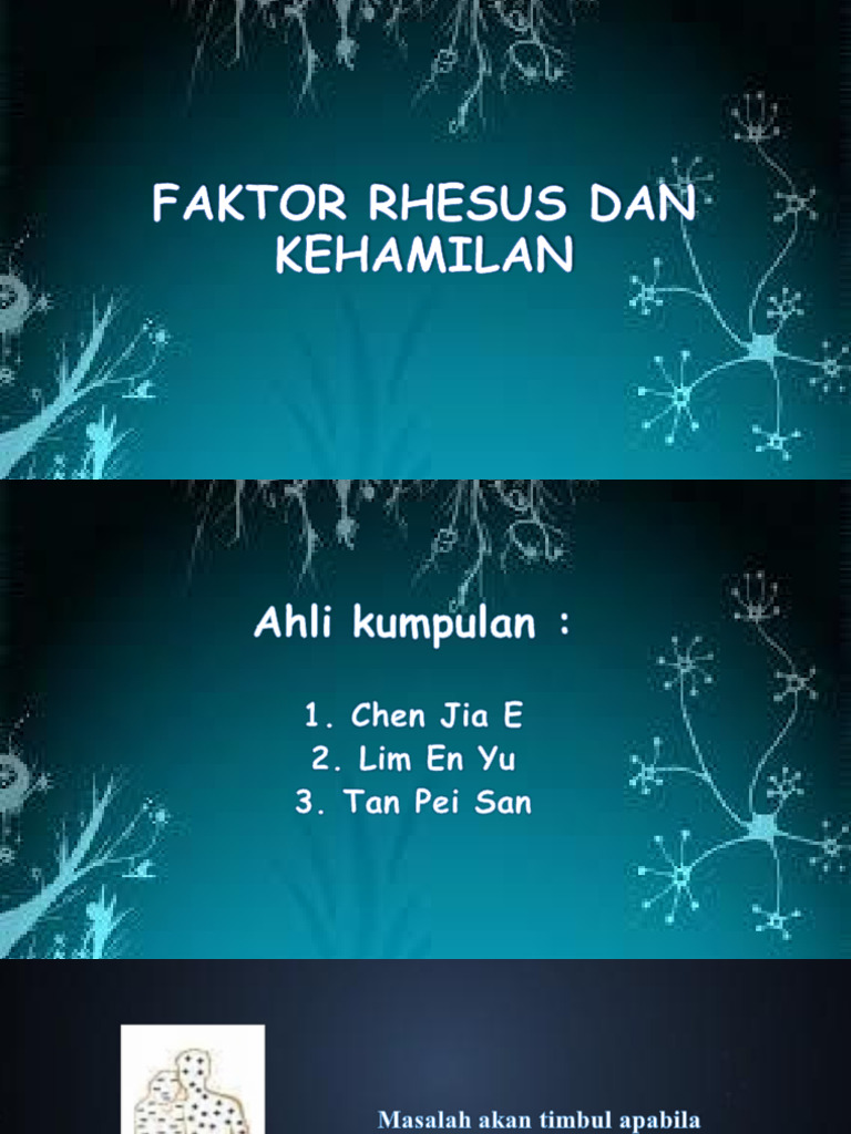Faktor Rhesus Dan Kehamilan | PDF