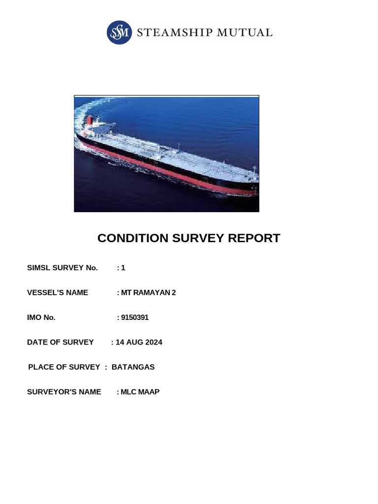 Full Condition Survey Report | PDF
