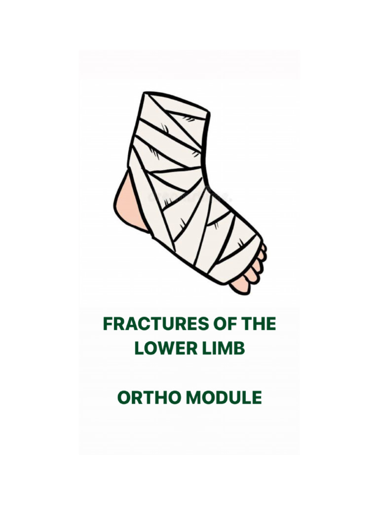 Lower Limb Fractures - Ortho (a) | PDF