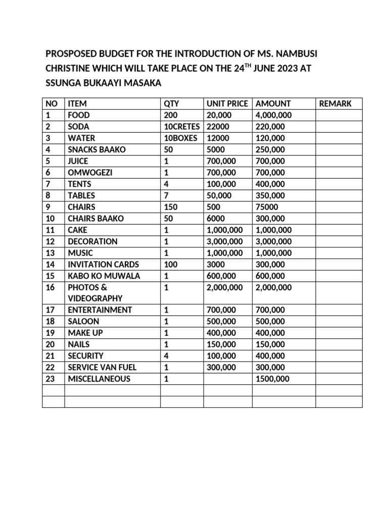 MY INTRODUCTION BUDGET | PDF