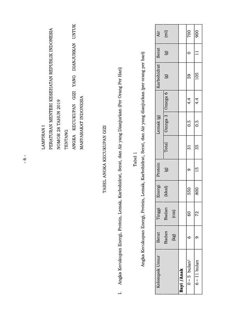 TABEL PEDOMAN AKG | PDF