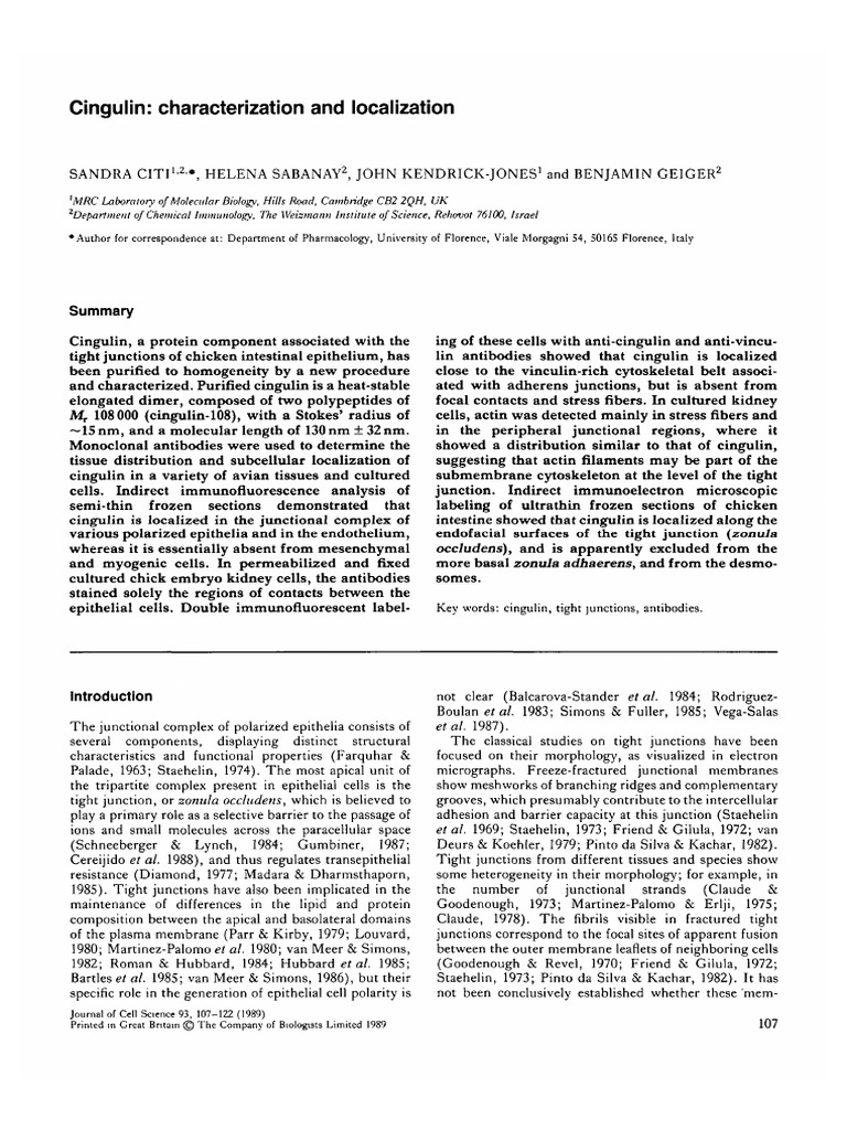 Cingulin: Characterization and Localization | PDF