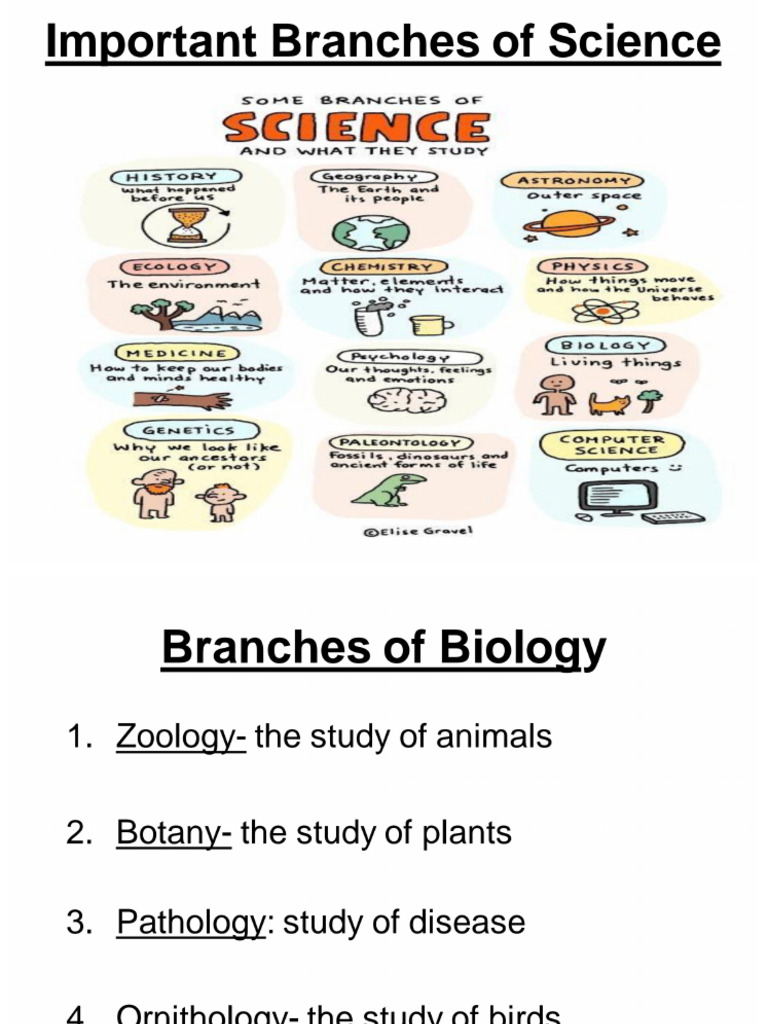 Branch of Science | PDF