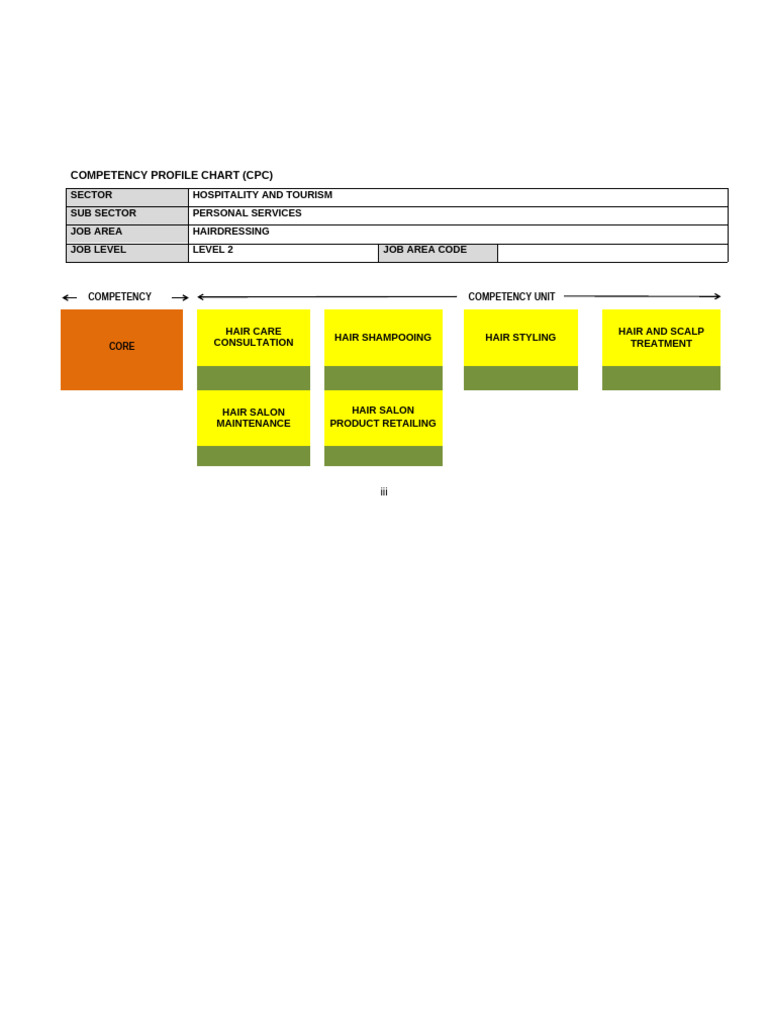 Competency Profile Chart (CPC) | PDF