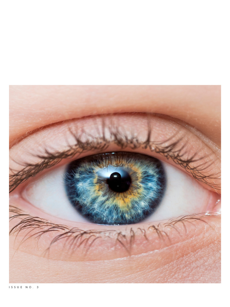 Flashcard Bagean Awak | PDF