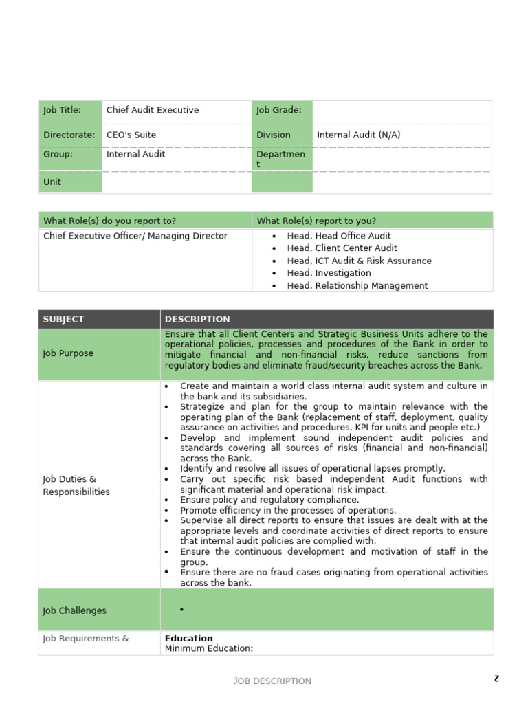 JD - Chief Audit Executive | PDF