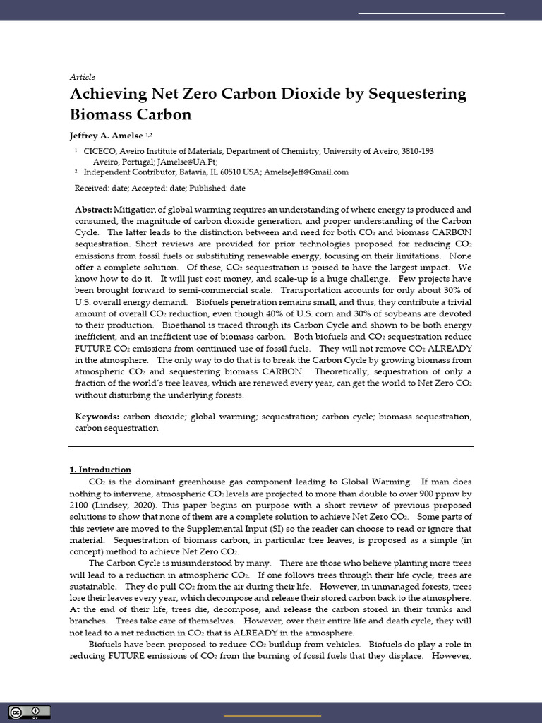 AchievingNetZeroCarbonDioxidepreprints202007 0576 V1manuscript | PDF