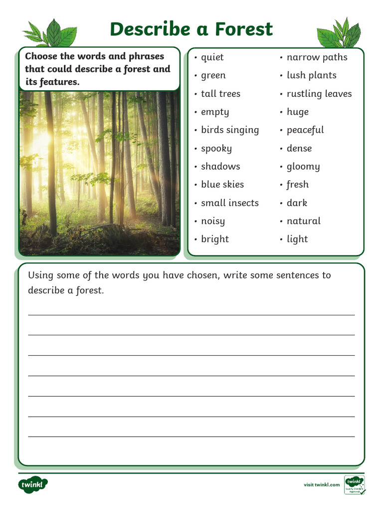 Describe A Forest | PDF