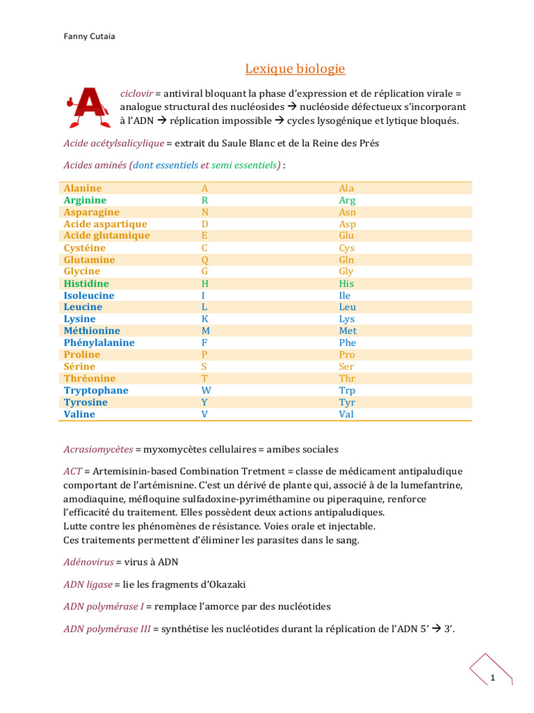 LEXIQUE de Tout Le Cours | PDF