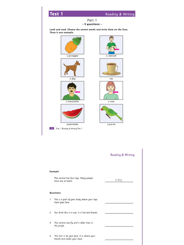Reading and Writing Test 2 | PDF