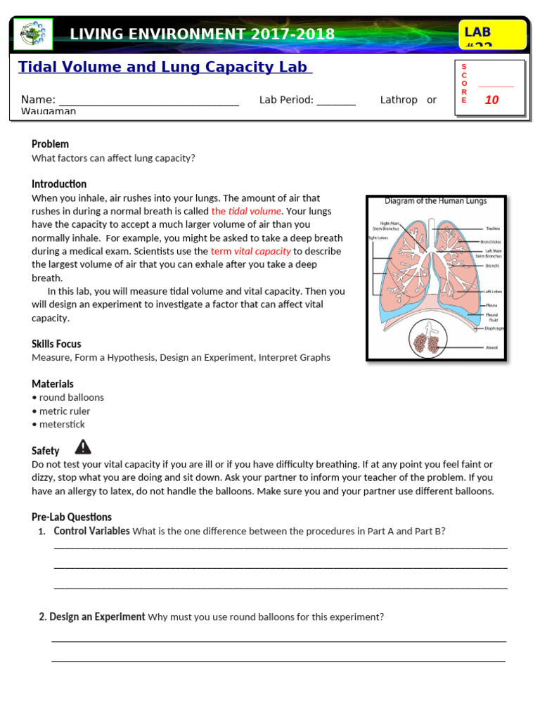 Lab 22 Lung Capacity Lab | PDF