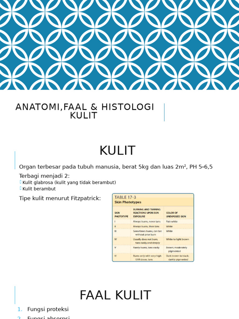 Anatomi Dan Faal Kulit | PDF