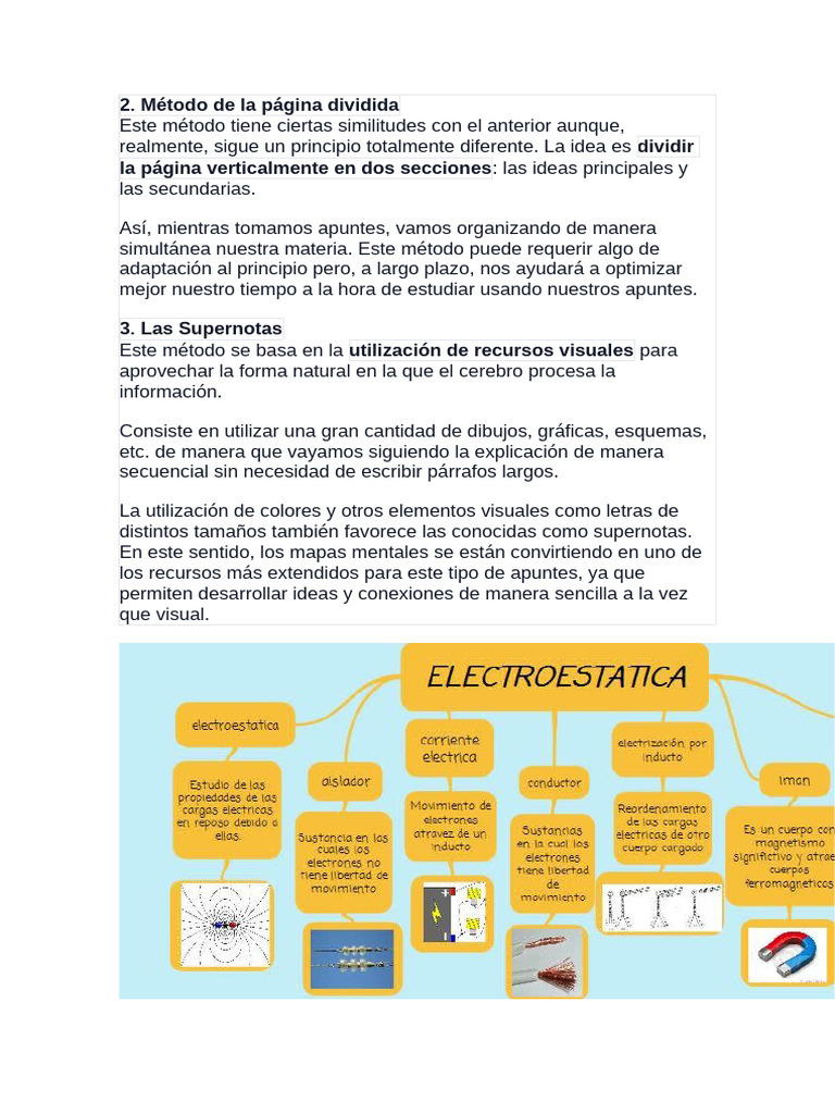 Segundo Documento - para SCR | PDF