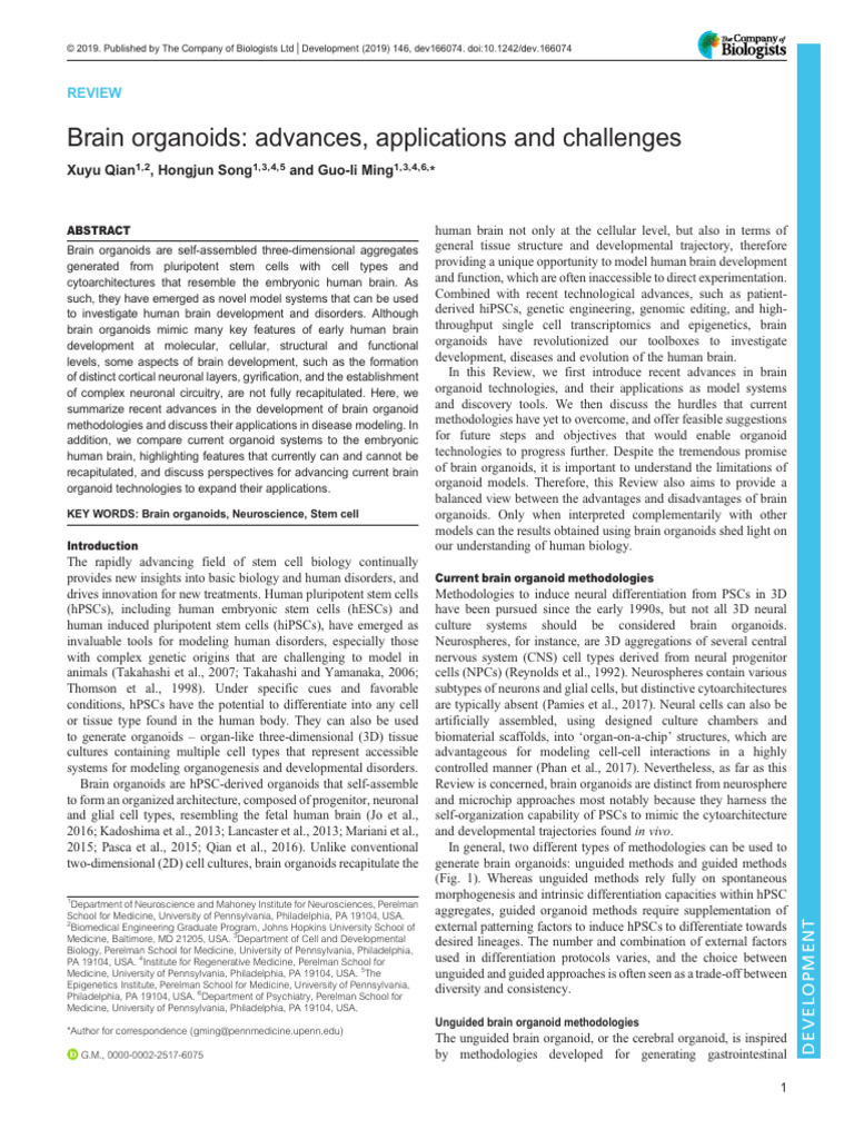 Qian, 2019 (Brain Organoids) | PDF