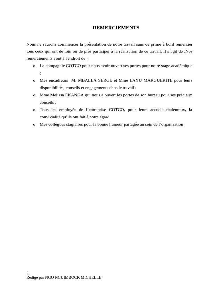 Copie de Rapport de Stage Michelle | PDF