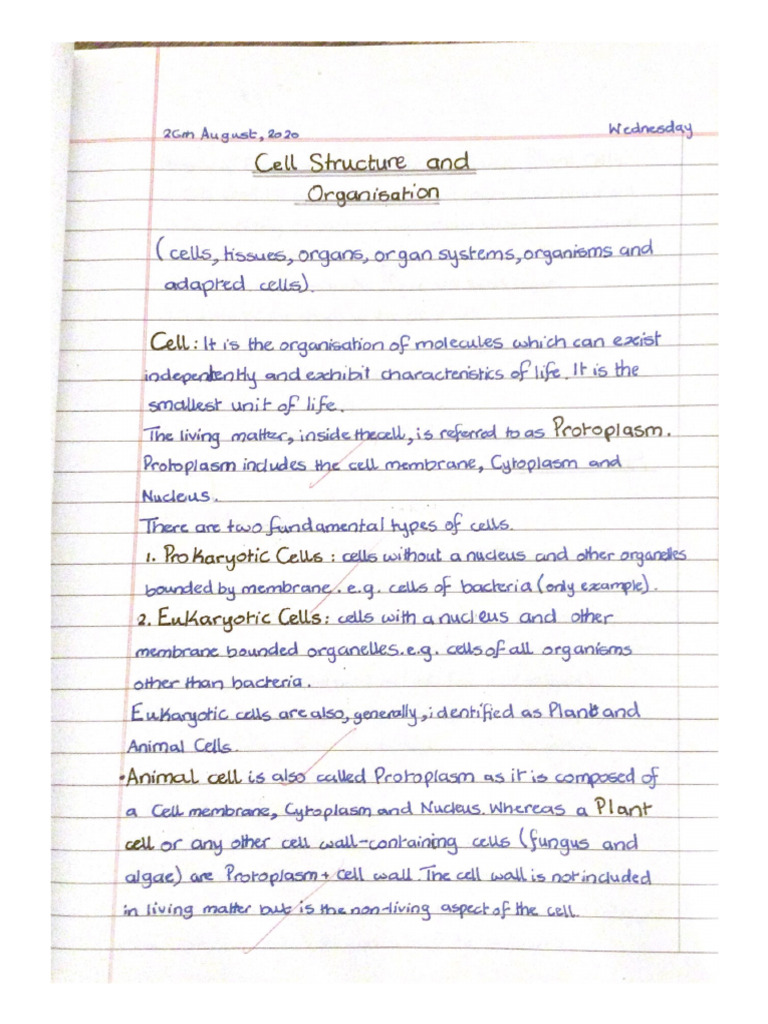 Cell Structure, Organisation and Adapted Cells | PDF
