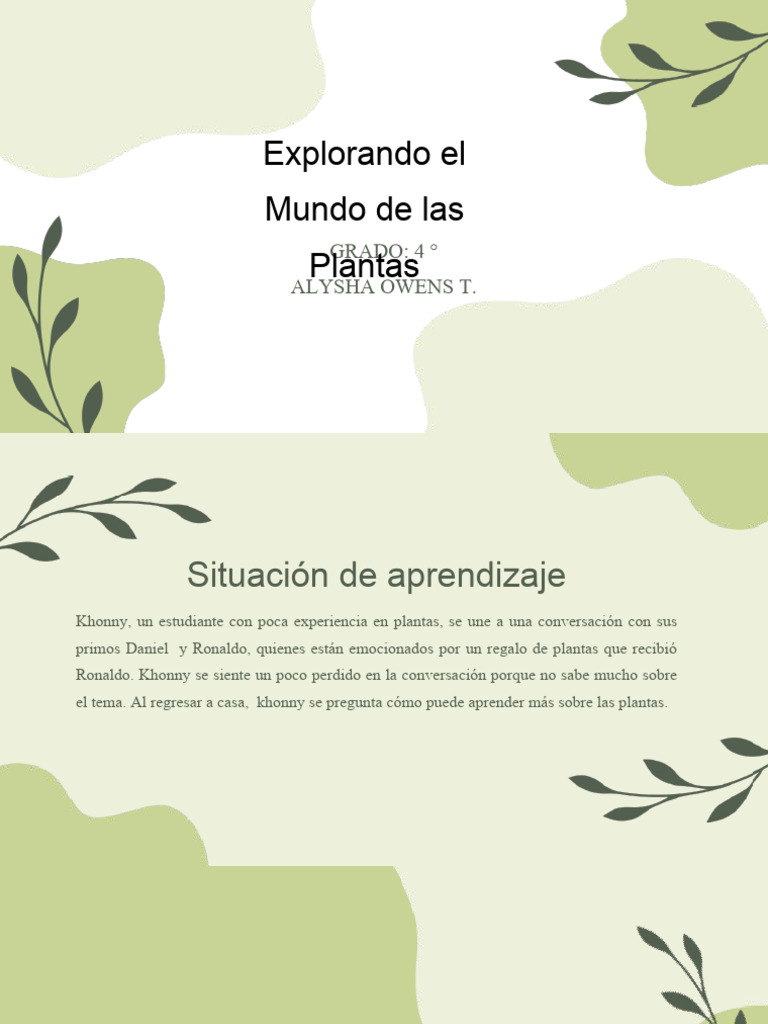 Explorando El Mundo de Las Plantas | PDF