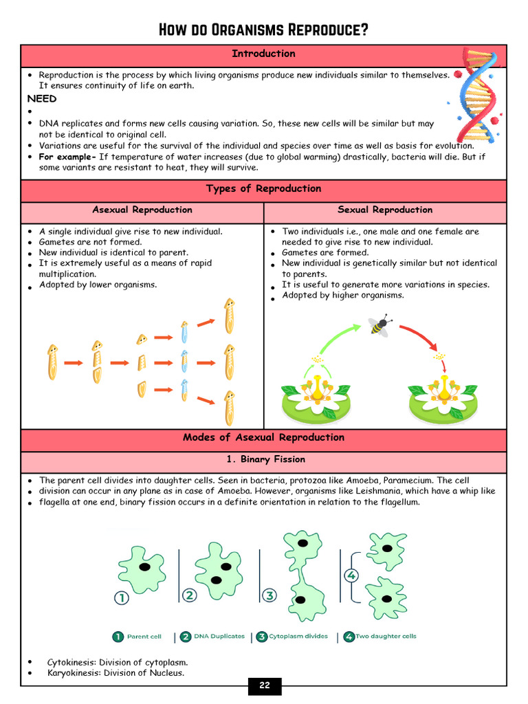How Do Organisms Reproduce PDF | PDF