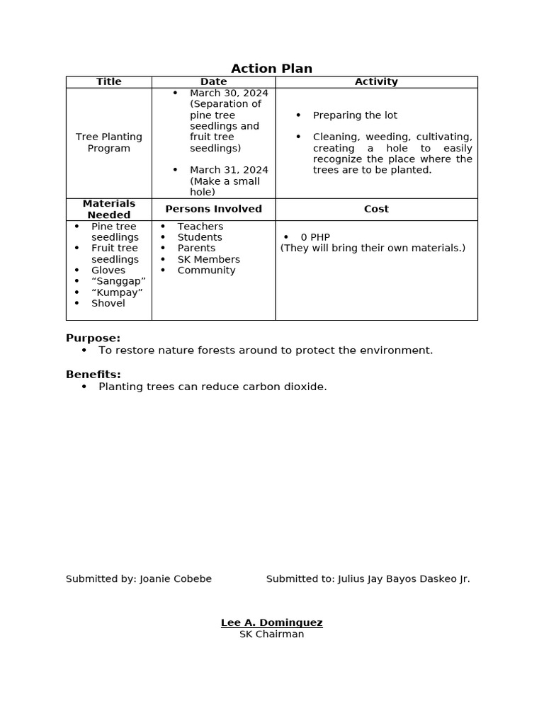 JOANIE'S Action Plan | PDF