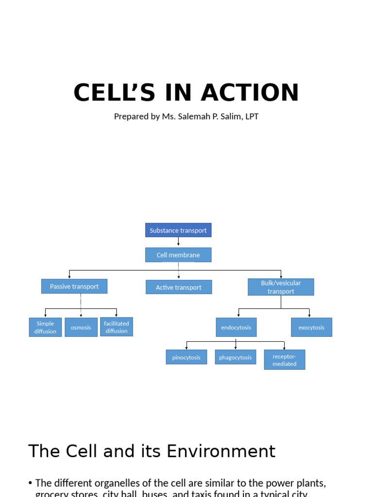 3 Cells in Action | PDF