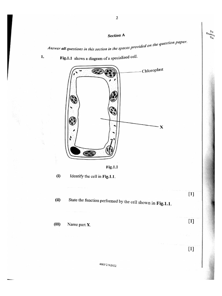 Combined Science Mid Year Form 3 Paper 2 | PDF