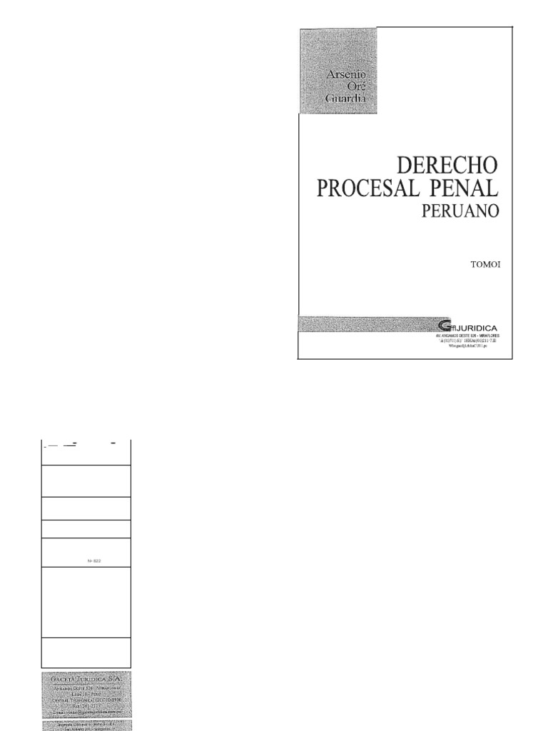 Principios Del Derecho Procesal Penal | PDF
