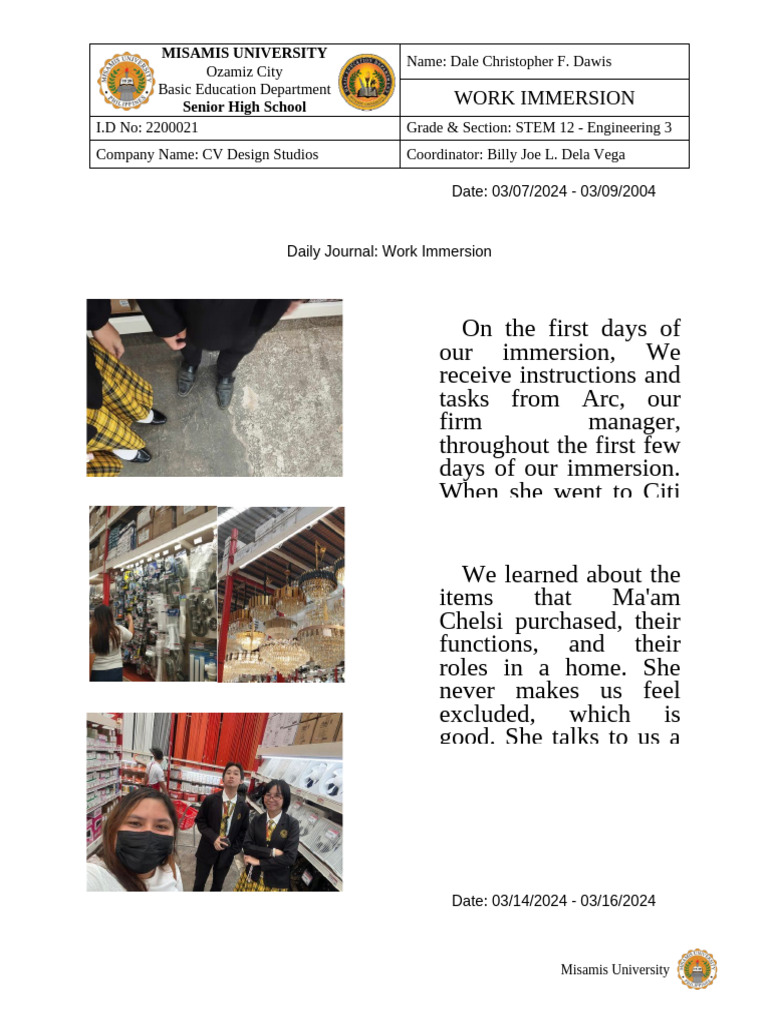 Immersion Journal | PDF