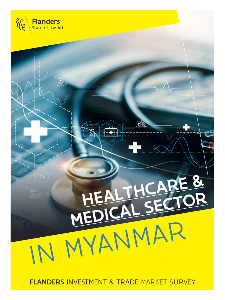 Healthcare and Medical Sector in Myanmar - Publ | PDF