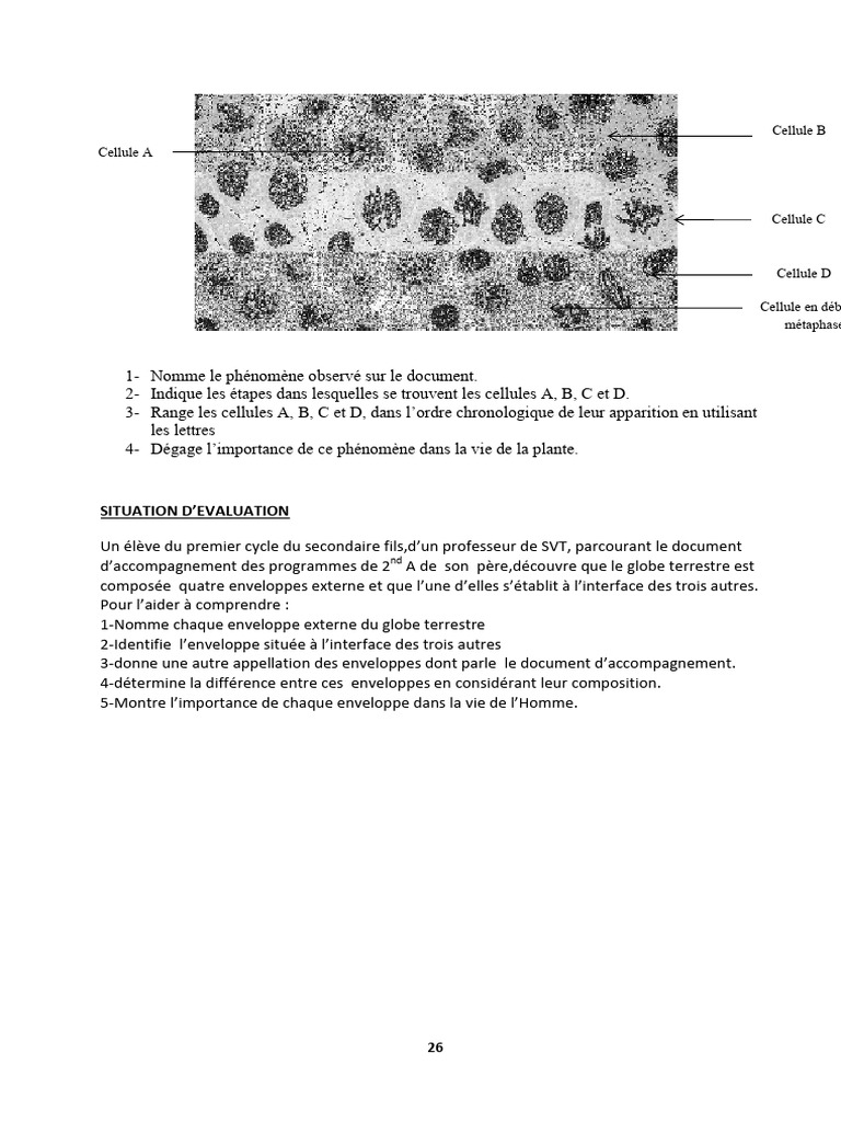 Cours SVT 2nde A-171-171 | PDF