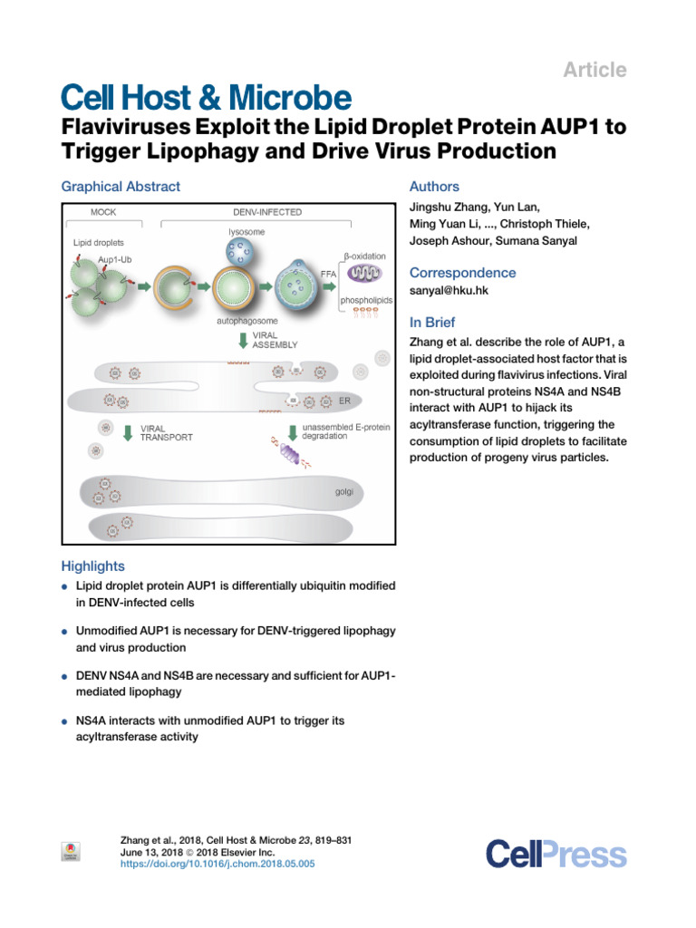Flaviviruses Exploit The Lipid Droplet Protein AUP1 To Trig 2018 Cell Host | PDF