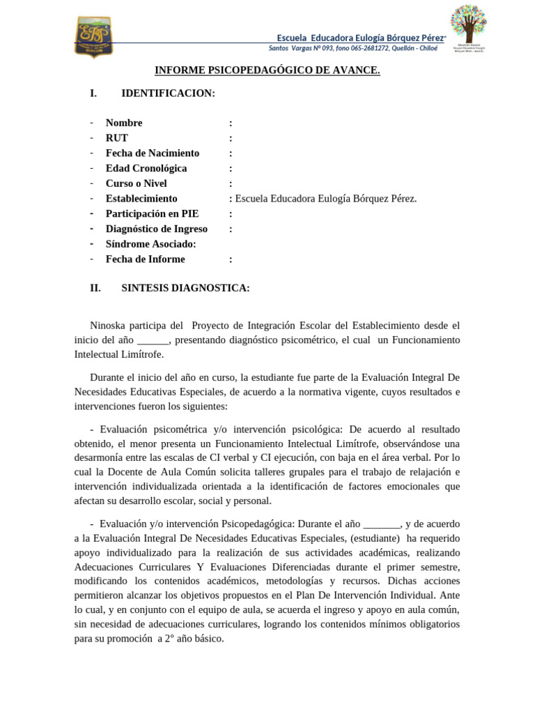 Informe Avance 2024 | PDF | Evaluación | Cociente de inteligencia