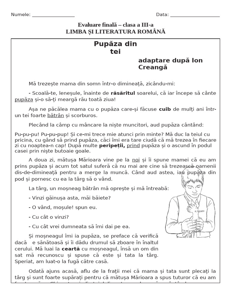 Test Final LLR | PDF