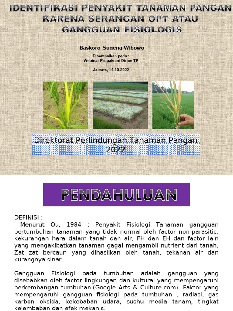 Ditlin.141022 Ident Opt Dan - Fisiologis | PDF