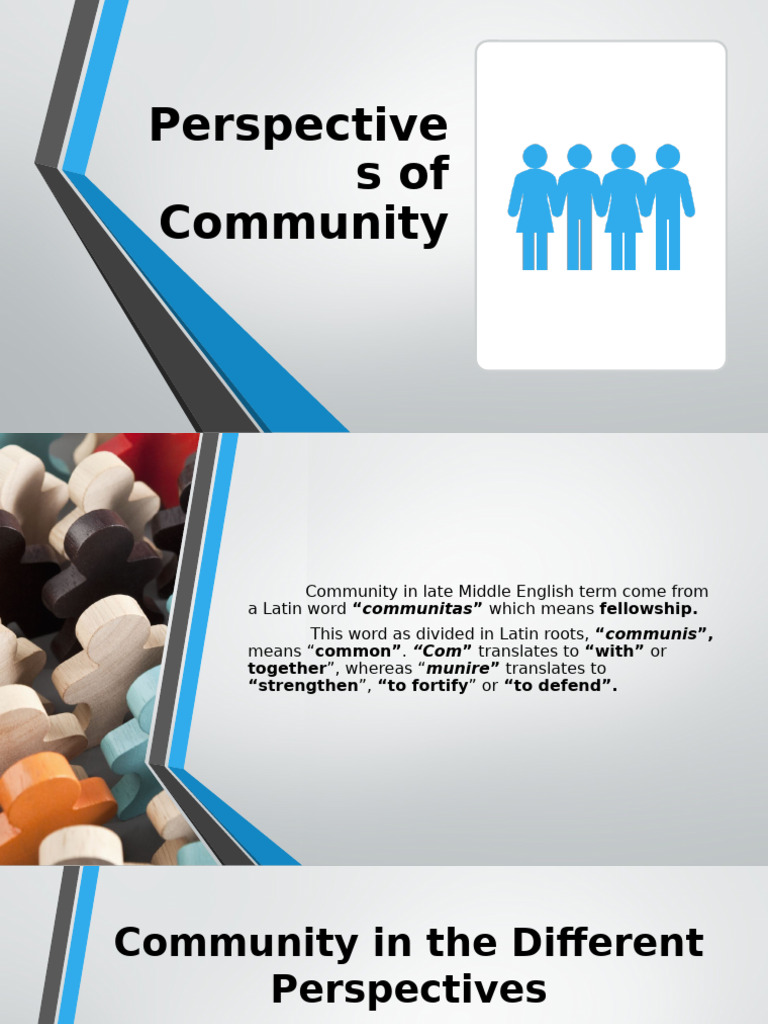 Perspectives of Community | PDF | Institution | Politics