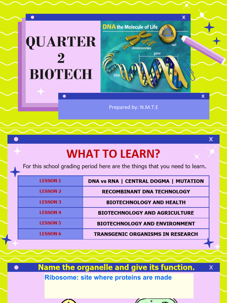 Q2 - Biotech L1 L3 | PDF