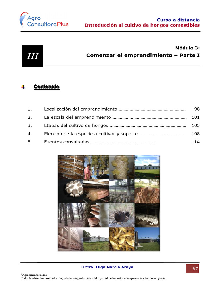 Modulo3 TextoPrincipal | PDF