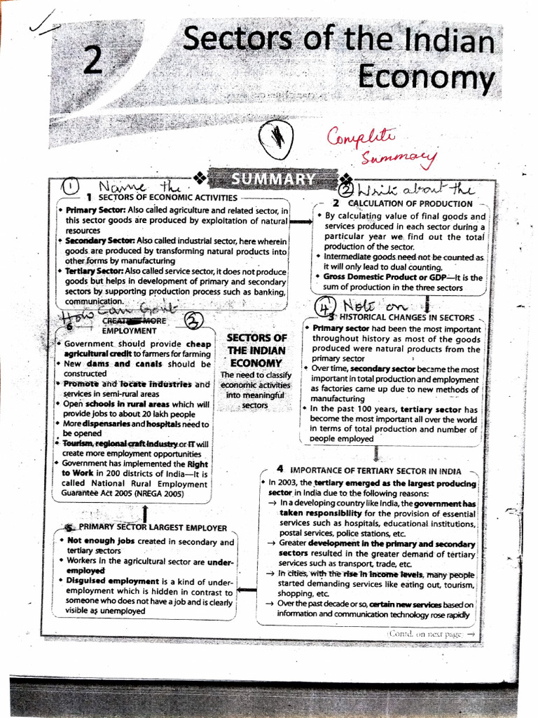 Ch-2 Sectors of the Indian Economy (notes) | PDF