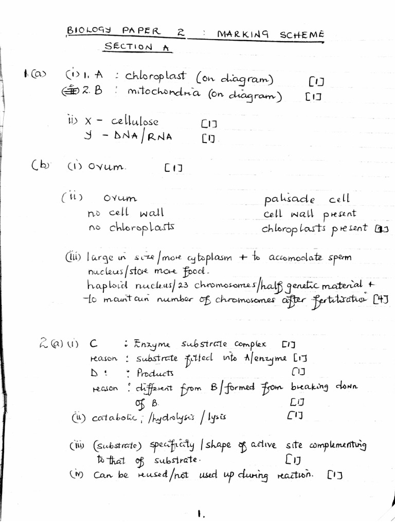 Bio Paper 2 Marking Scheme Form 4 | PDF