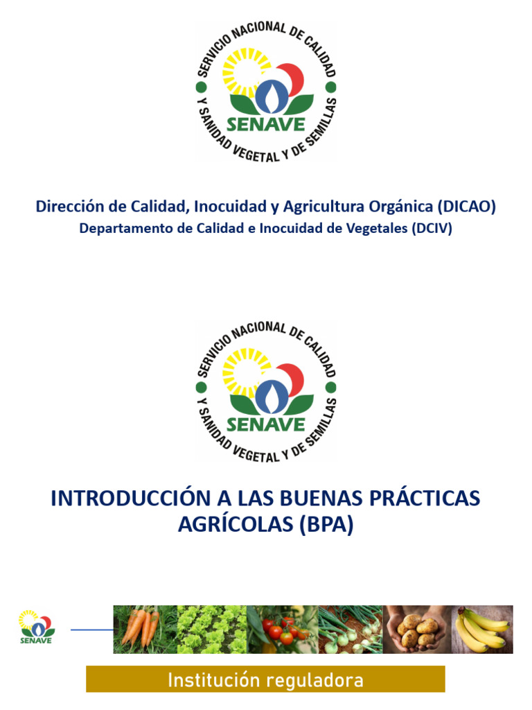 MODULO 7. Buenas Practicas Agricolas-BPA | PDF