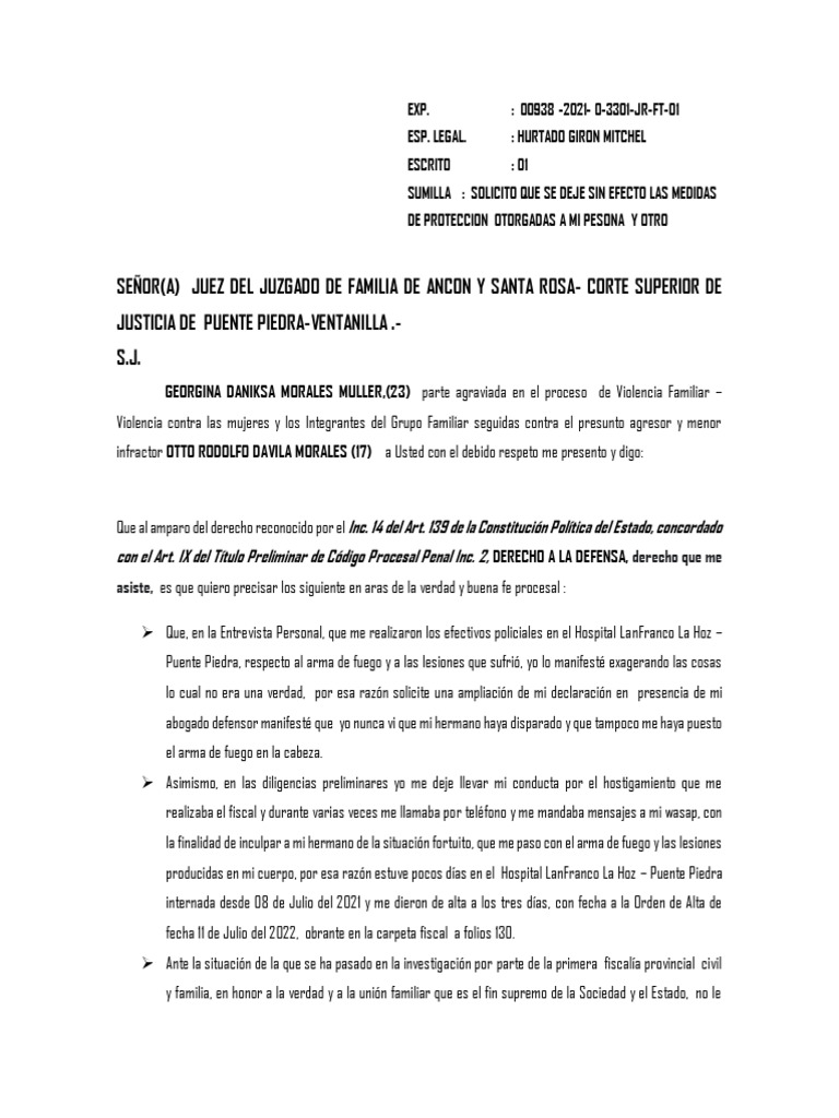 Modelo de Solicitud para Dejar Sin Efecto Medidas de Protección | PDF