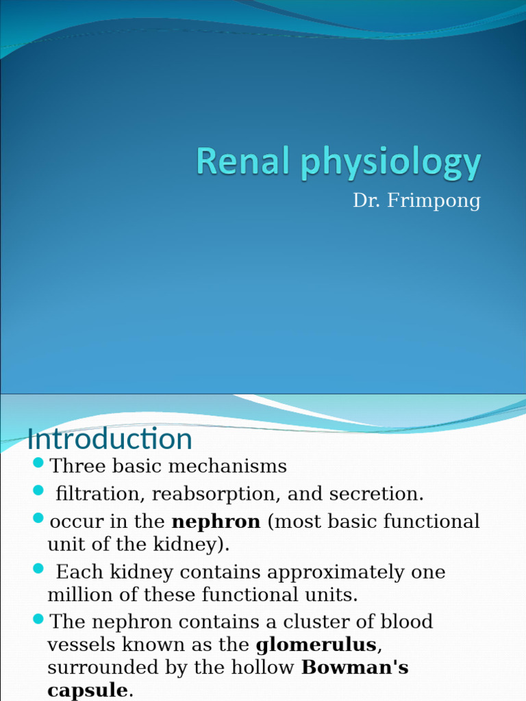 Renal Physiology | PDF