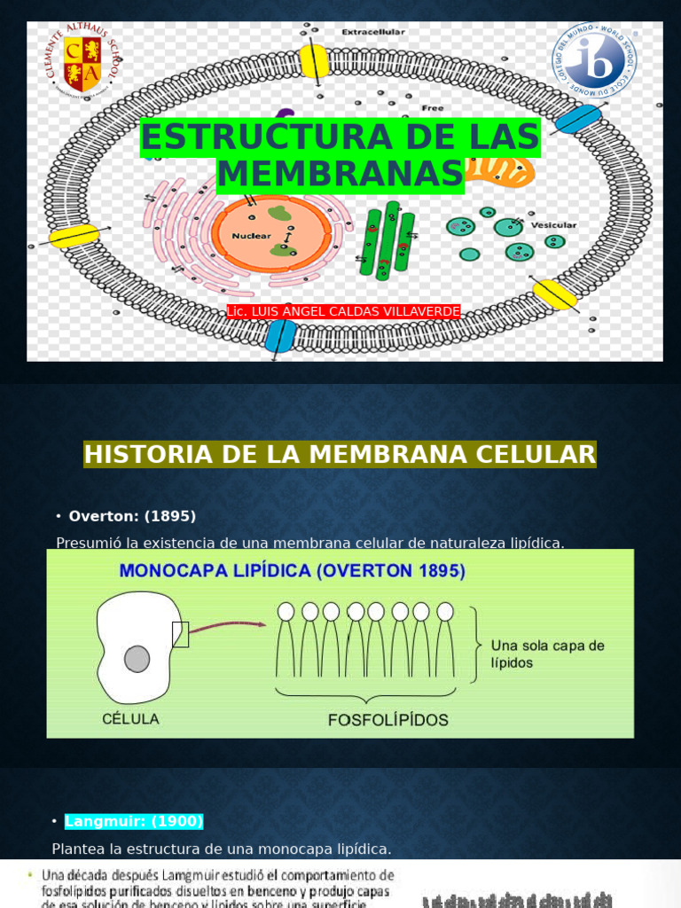 T4 - Estructura de Las Membranas | PDF